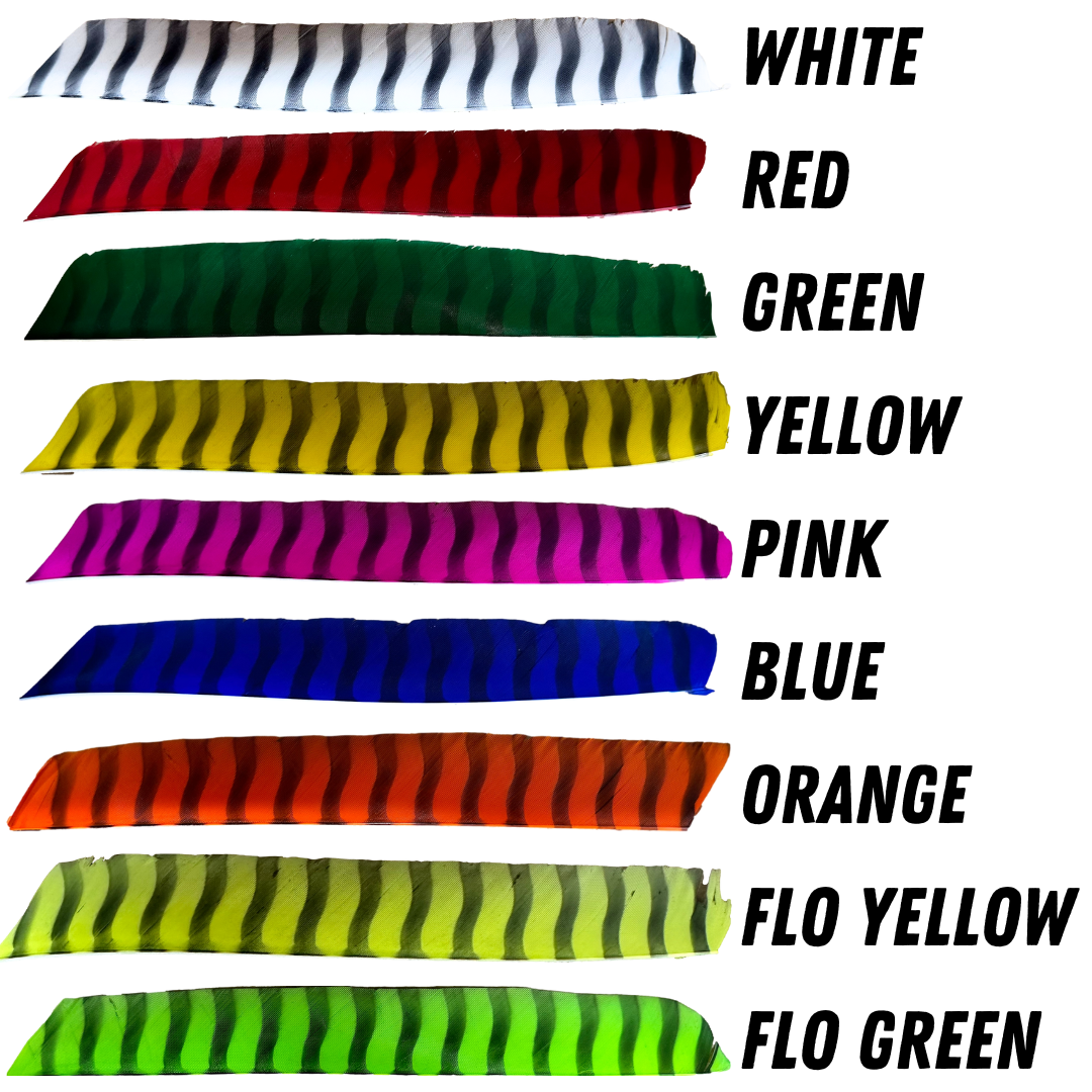 King Feathers - Full Length - Barred Feathers – Laurel Mountain Outfitters